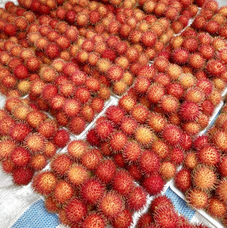 Moc Chau Highland Joint Stock Company